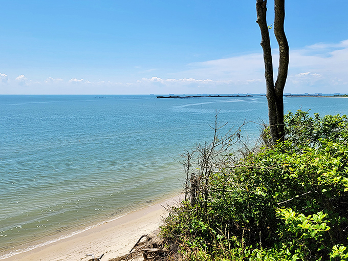 Coastal serenity in its purest form. The Chesapeake Bay stretches out like nature's infinity pool, minus the pretentious cocktail menu.
