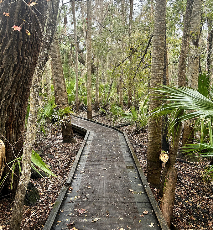 This boardwalk doesn't lead to a Broadway show, but the performance nature puts on here is equally spectacular.