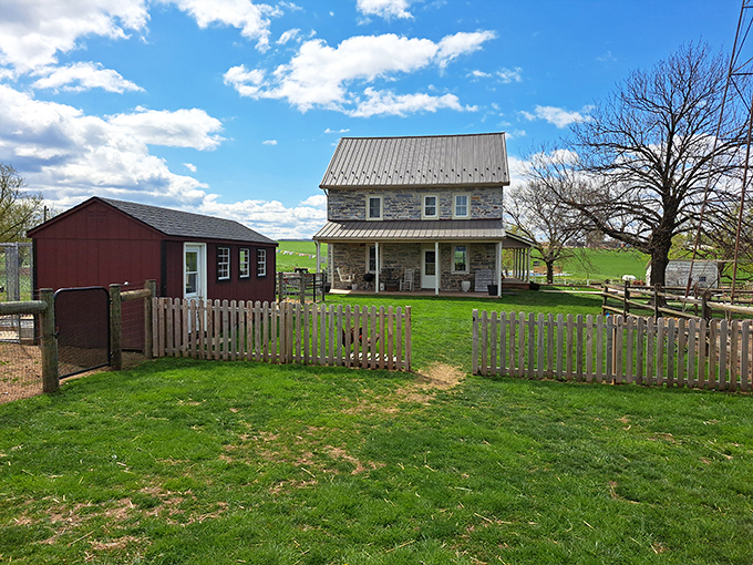 A stone farmhouse stands sentinel beside a red outbuilding, white picket fence completing this slice of Americana.