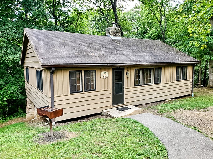 Rustic comfort meets woodland serenity in these cabins. Like a cozy sweater for your vacation plans&mdash;practical, warm, and surprisingly stylish.