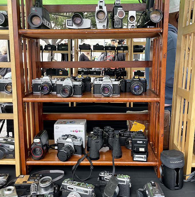 These classic cameras captured decades of memories; now they're waiting to decorate your shelf perfectly.