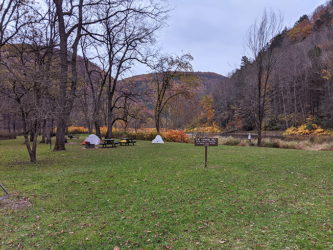 Simple camping perfection: where fall foliage provides the entertainment and mountains serve as your living room walls.