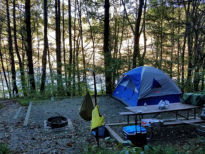 Camping nirvana: Where your morning coffee comes with a side of mist rising off ancient waters and birdsong that beats any alarm clock.