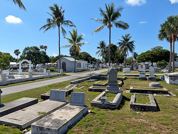Palm trees stand sentinel over sun-bleached tombstones, creating Florida's most peaceful neighborhood where nobody complains about the noise.