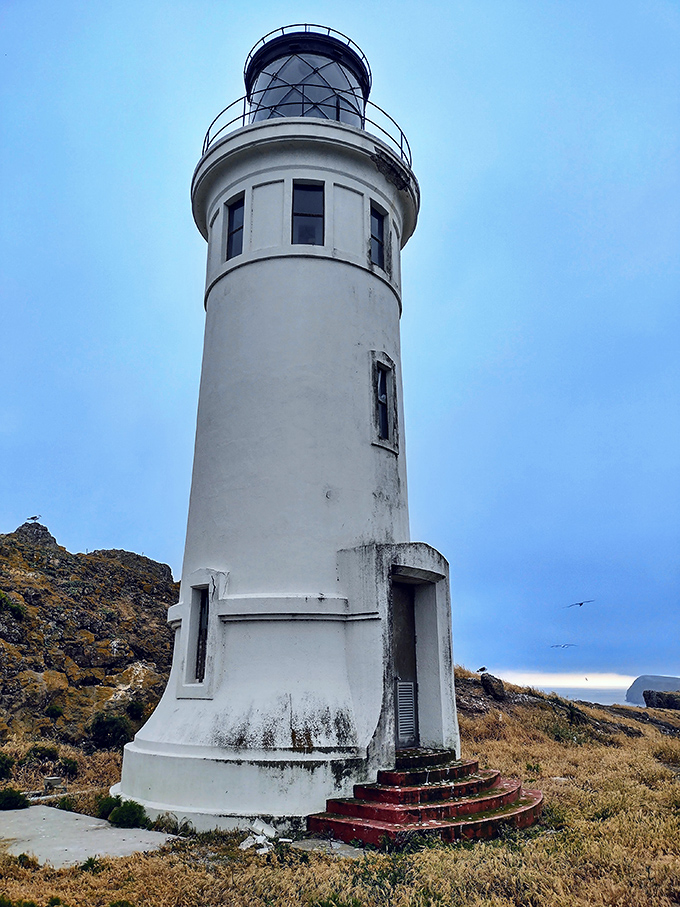 Up close, this 39-foot maritime guardian reveals weathered charm that would make any lighthouse enthusiast swoon.