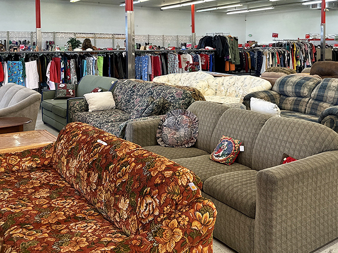 The couch collection resembles a living room museum spanning five decades. That floral pattern sofa? Either hideously outdated or exactly what your space needs.