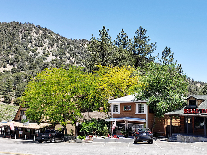 Downtown Wrightwood proves that charm doesn't require skyscrapers&mdash;just character, pine trees, and perfect mountain air.