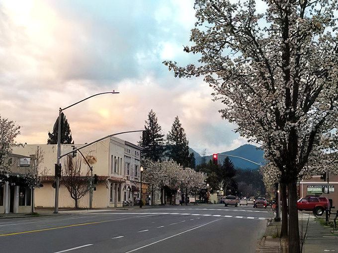 Spring blossoms transform downtown into nature's confetti celebration, proving small-town charm beats big-city hustle every time.