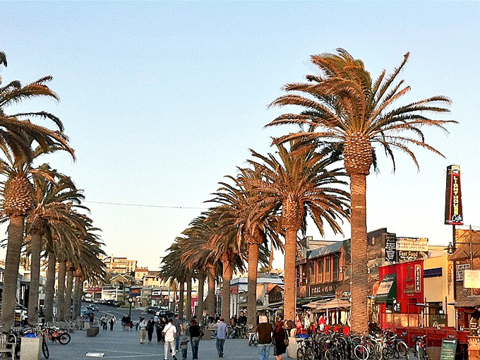 Palm trees standing at attention like nature's own welcoming committee, proving California knows how to make an entrance.