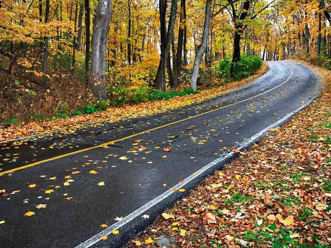 Autumn's confetti decorates this winding path through Hocking Hills. Mother Nature clearly went to art school with this color palette.