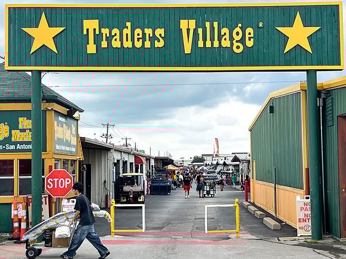 The gateway to treasure hunting! That iconic green and gold Traders Village sign promises a day of discoveries and deals that'll make your wallet surprisingly happy.