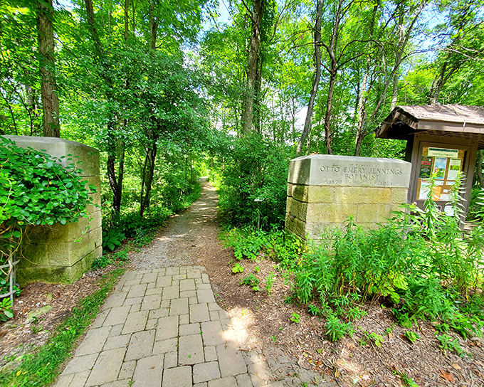 The welcoming committee doesn't stand on ceremony here. Stone pillars and a simple path invite you into a world where nature, not humans, makes the rules.