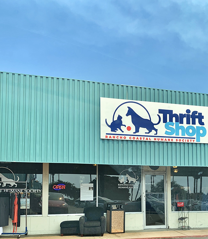 That "OPEN" sign might as well say "Adventure Awaits." The humble entrance hides a world where retail therapy and animal rescue beautifully collide.