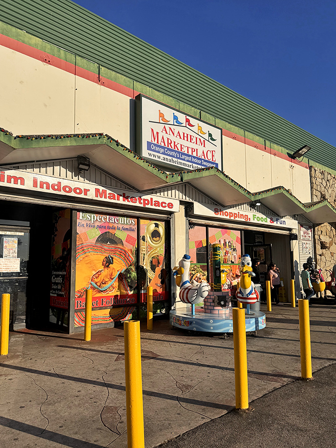 Step through these doors and kiss your shopping list goodbye&mdash;you'll find things you never knew you needed until this very moment.