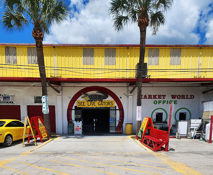 The entrance says "SEE LIVE GATORS" because nothing says "Florida shopping experience" quite like reptilian window shoppers.
