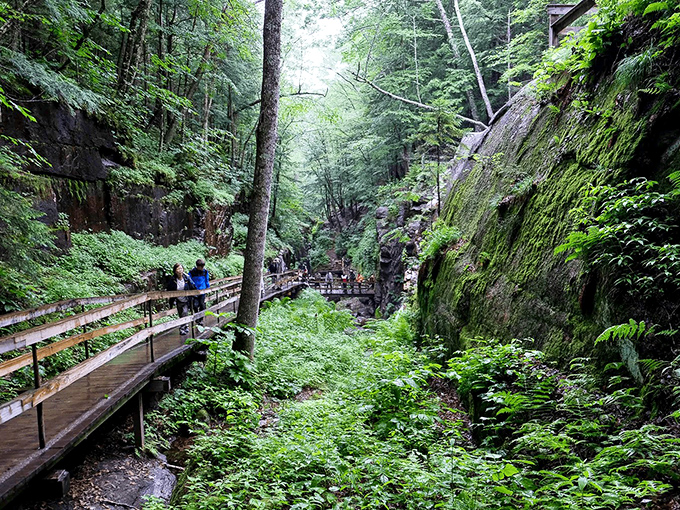 Nature's hallway invites exploration. The boardwalk through Flume Gorge offers front-row seats to a geological marvel millions of years in the making.