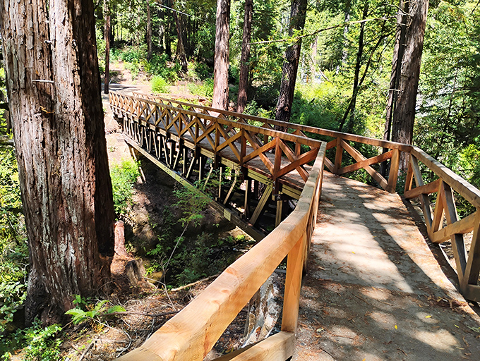 Nature's perfect bridge design &ndash; sturdy enough for hikers, photogenic enough for Instagram, and guaranteed to make you feel like an explorer.