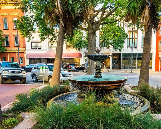 This charming fountain plaza serves as Whitmire's living room, where palm trees and gentle waters create an unexpected oasis.