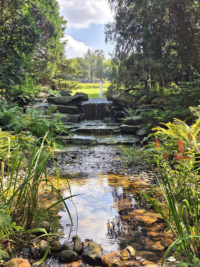 Nature's own staircase of tumbling water creates a soundtrack you can't download on Spotify. The kind of tranquility that makes you forget your password troubles.