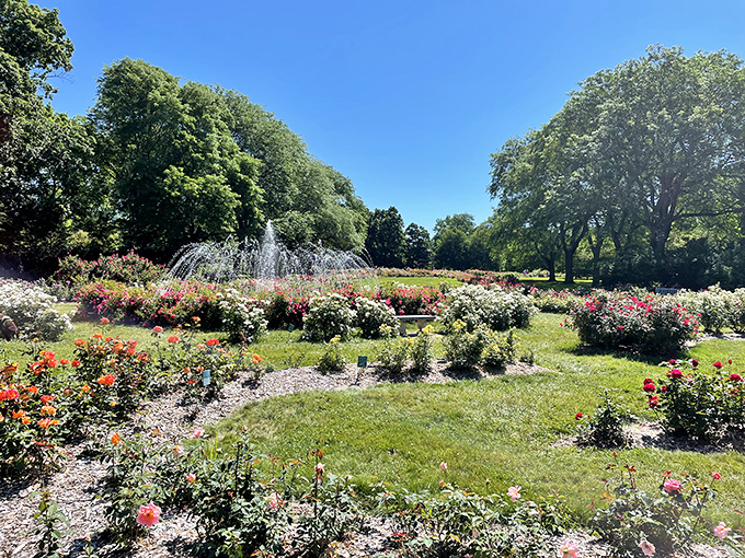 Summer sunshine bathes the garden in golden light, where fountains and flowers compete for who can put on the better show.