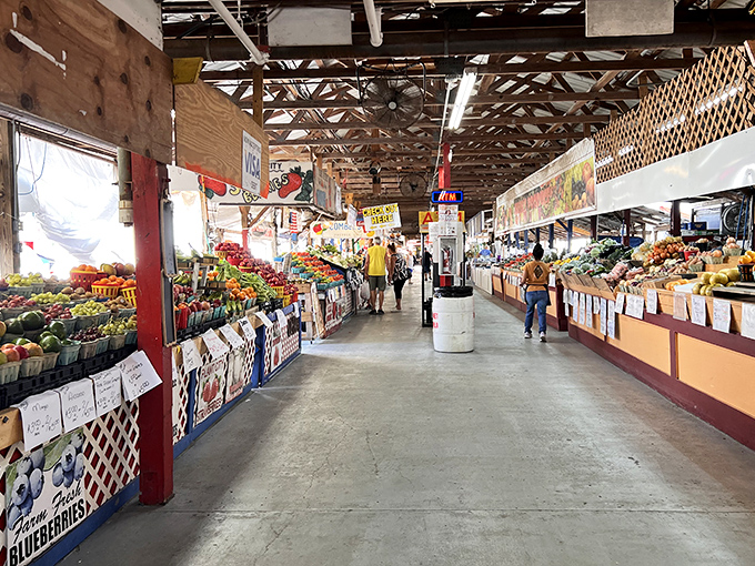 Nature's candy store where the produce is so fresh, you'll swear the vegetables are still gossiping about their time on the farm.