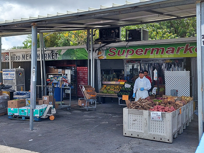 Fresh produce that puts supermarket offerings to shame. These fruits didn't spend two weeks on a truck&mdash;they're ready for your table today.