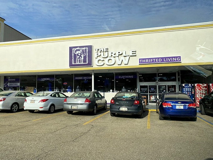 Thrifted Living isn't just a tagline&mdash;it's a lifestyle philosophy displayed proudly above a treasure trove waiting to be explored. 