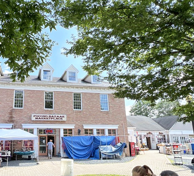 Shaded by leafy sentinels, the marketplace stands like a dignified host, inviting curious souls to step through its doors and begin their treasure quest.