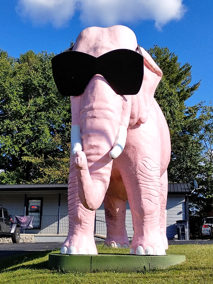 Looking up at Ellie's magnificent profile against the blue Tennessee sky makes you appreciate the audacity of roadside Americana in all its pink-tinted splendor.