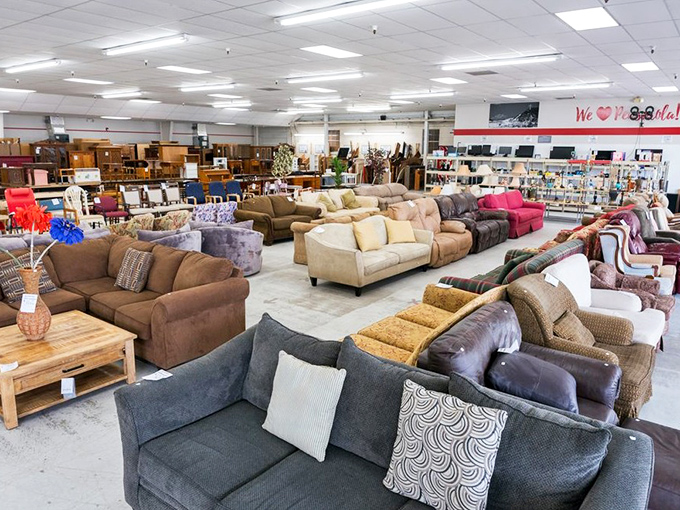 A sofa safari where every cushion tells a story. Find your perfect perch among this sea of seating possibilities.