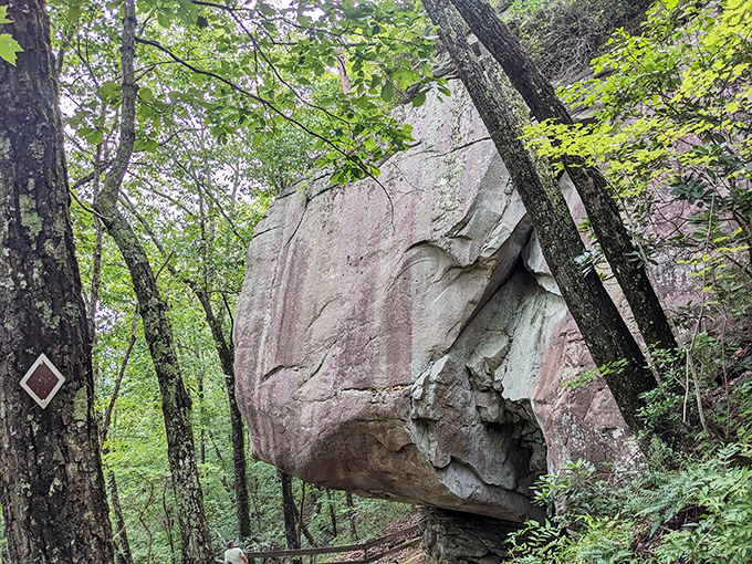 This ancient boulder sits like a patient giant, watching centuries pass with stoic Southern charm.