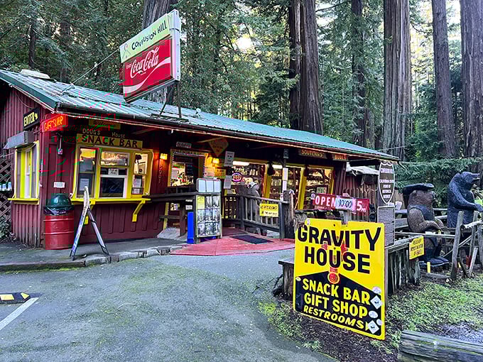 The quintessential roadside snack bar and gift shop, where ice cream cones and quirky souvenirs have been delighting travelers for generations.