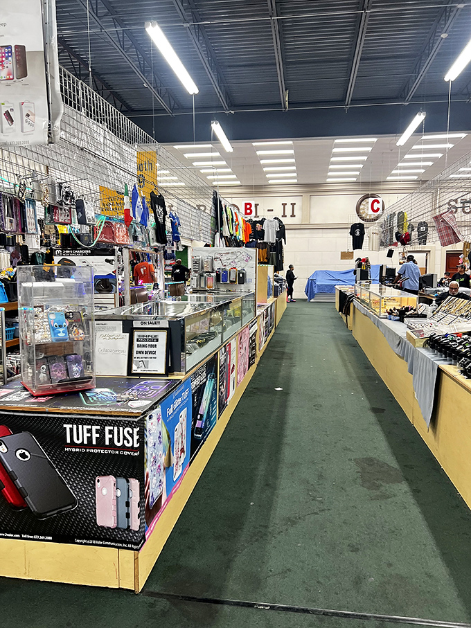 Inside these organized aisles, yesterday's forgotten gems await today's savvy shoppers seeking tomorrow's perfect finds.