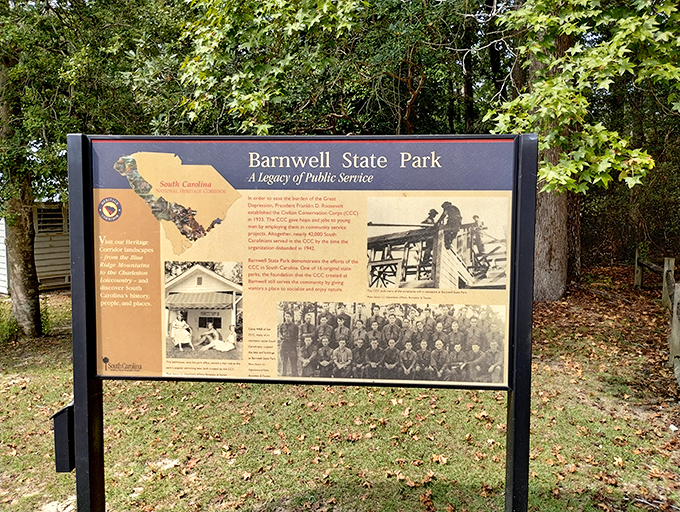 History stands still on this weathered information board, telling tales of the CCC boys who shaped this land with nothing but grit and determination.