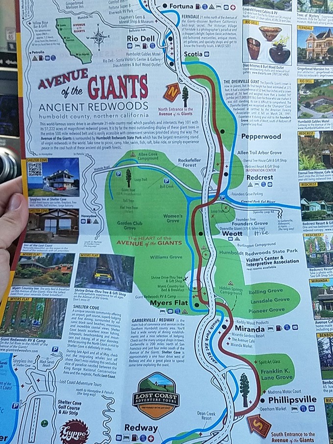 Road trip planning at its finest! This vintage-style map reveals the Avenue's treasures like a pirate's guide to natural wonders instead of buried gold.