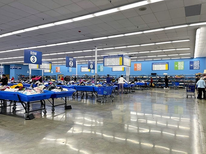 Welcome to the blue bin jungle! Rows of merchandise await the intrepid thrifter willing to embark on a treasure hunt.