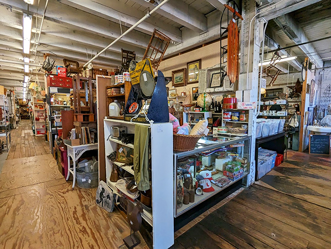 Wooden floors that have witnessed thousands of treasure hunters creak beneath your feet as you navigate this labyrinth of memories and merchandise.