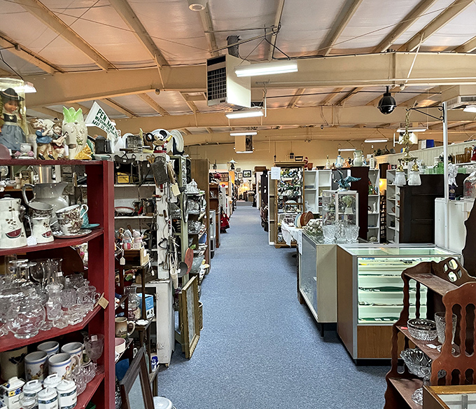 The blue carpet leads you deeper into the rabbit hole of collectibles. Each booth a new chapter in America's material history.