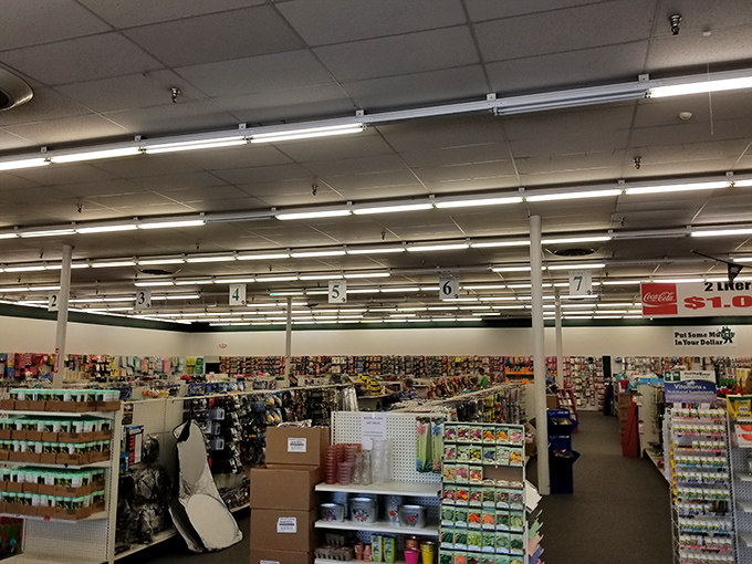 Aisle after aisle of affordable possibilities stretch into the distance. It's like someone designed a theme park where the theme is "saving money."