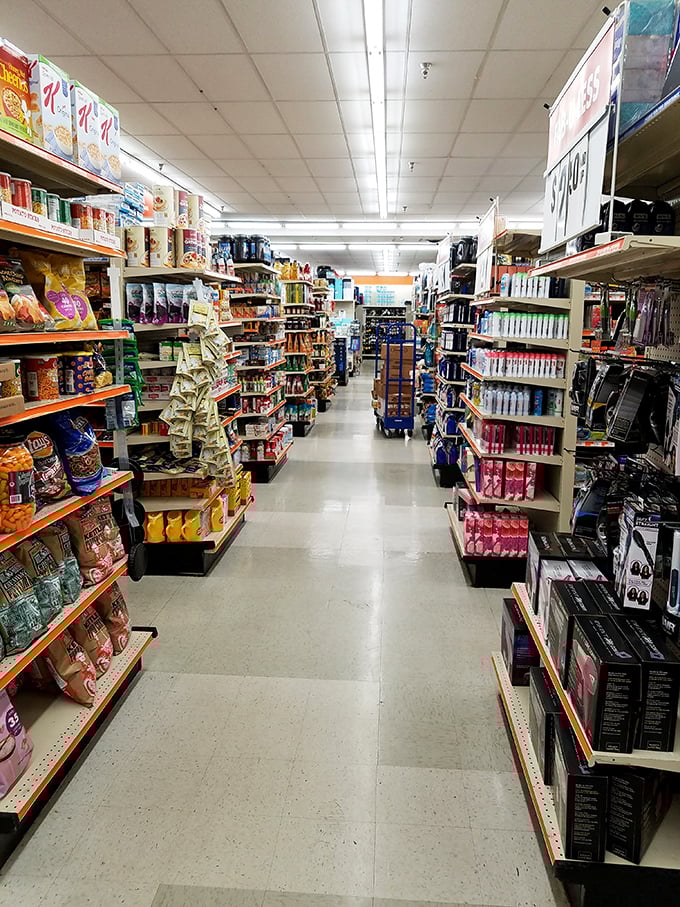 Aisles stretch into infinity like a discount wonderland, where everyday necessities mingle with unexpected treasures waiting to be discovered.