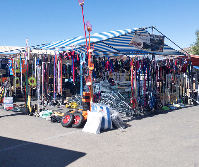 A rainbow of leashes and pet supplies awaits four-legged family members. One person's garage overflow becomes another's pet paradise.