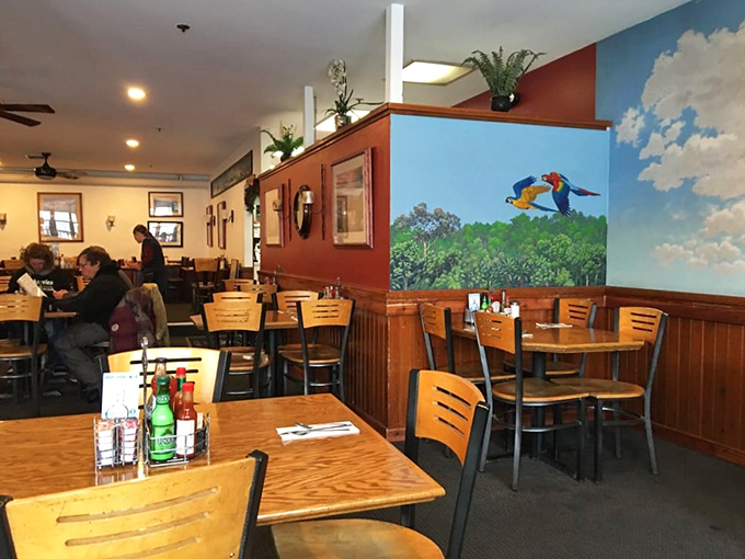 Step inside to a world where colorful murals of tropical birds meet cozy wooden booths. The kind of place where breakfast dreams come true. 