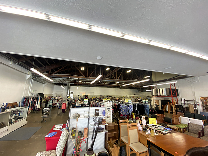 The high ceilings and industrial bones of SuperThrift create a treasure hunter's paradise where one person's castoffs become another's conversation pieces.