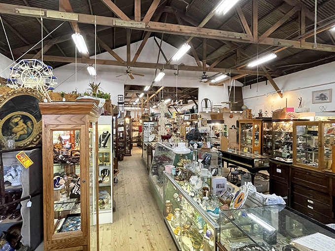 Wooden beams frame an Aladdin's cave of collectibles where time stands still and every aisle promises the thrill of unexpected discovery.
