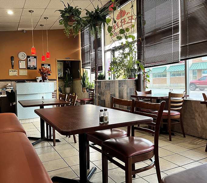 Warm earth tones, hanging plants, and simple wooden tables create an unpretentious atmosphere where the food, not the decor, takes center stage.