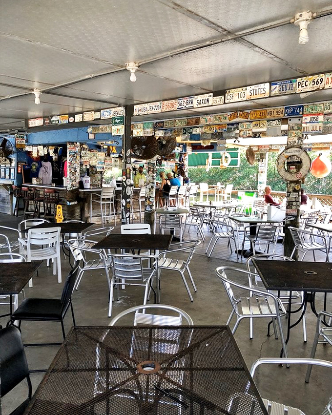 License plates from every state create a nostalgic tapestry above tables where strangers become friends over fritters.