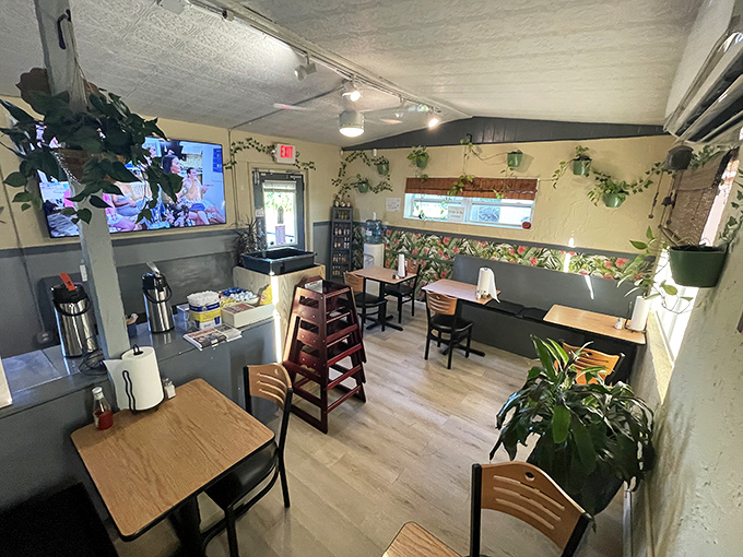 Inside, hanging plants create a cozy greenhouse vibe. This isn't just a restaurant&mdash;it's someone's well-loved breakfast sanctuary.