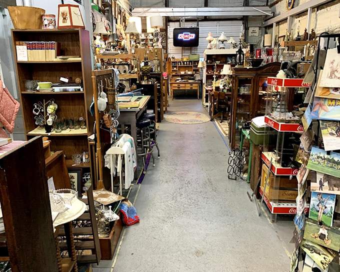 Aisles that seem to stretch into infinity, each turn promising new discoveries. This isn't shopping&mdash;it's time travel with price tags.