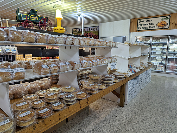 Where memories and calories are made! The ticket booth serves as your gateway to animal encounters and buggy rides.