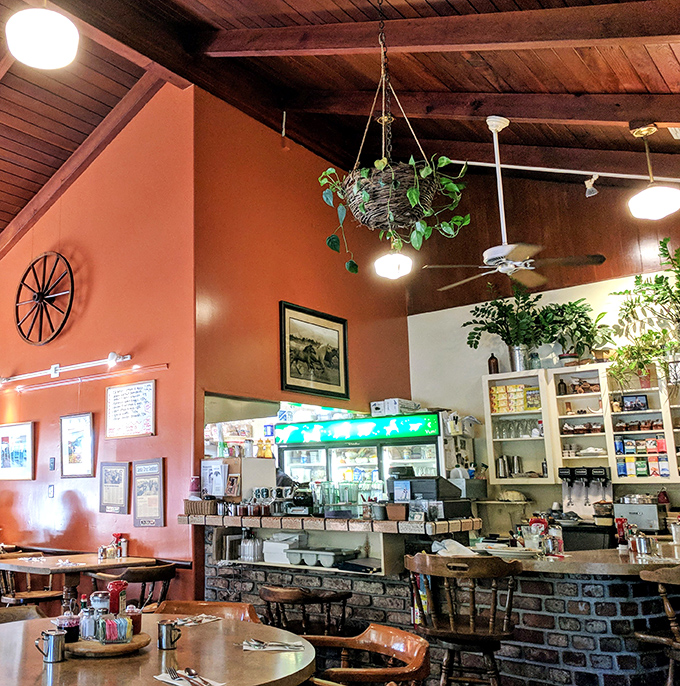 Wooden beams, hanging plants, and terra-cotta walls create that rare atmosphere where both your breakfast and your soul feel right at home.